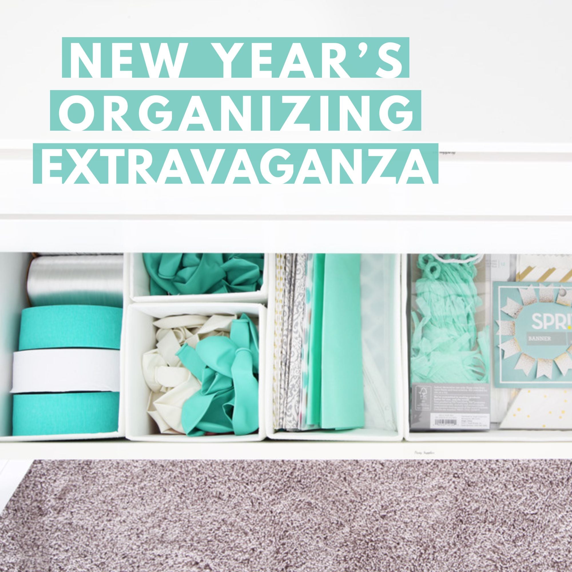 New Year's Organizing Extravaganza – Abby Organizes